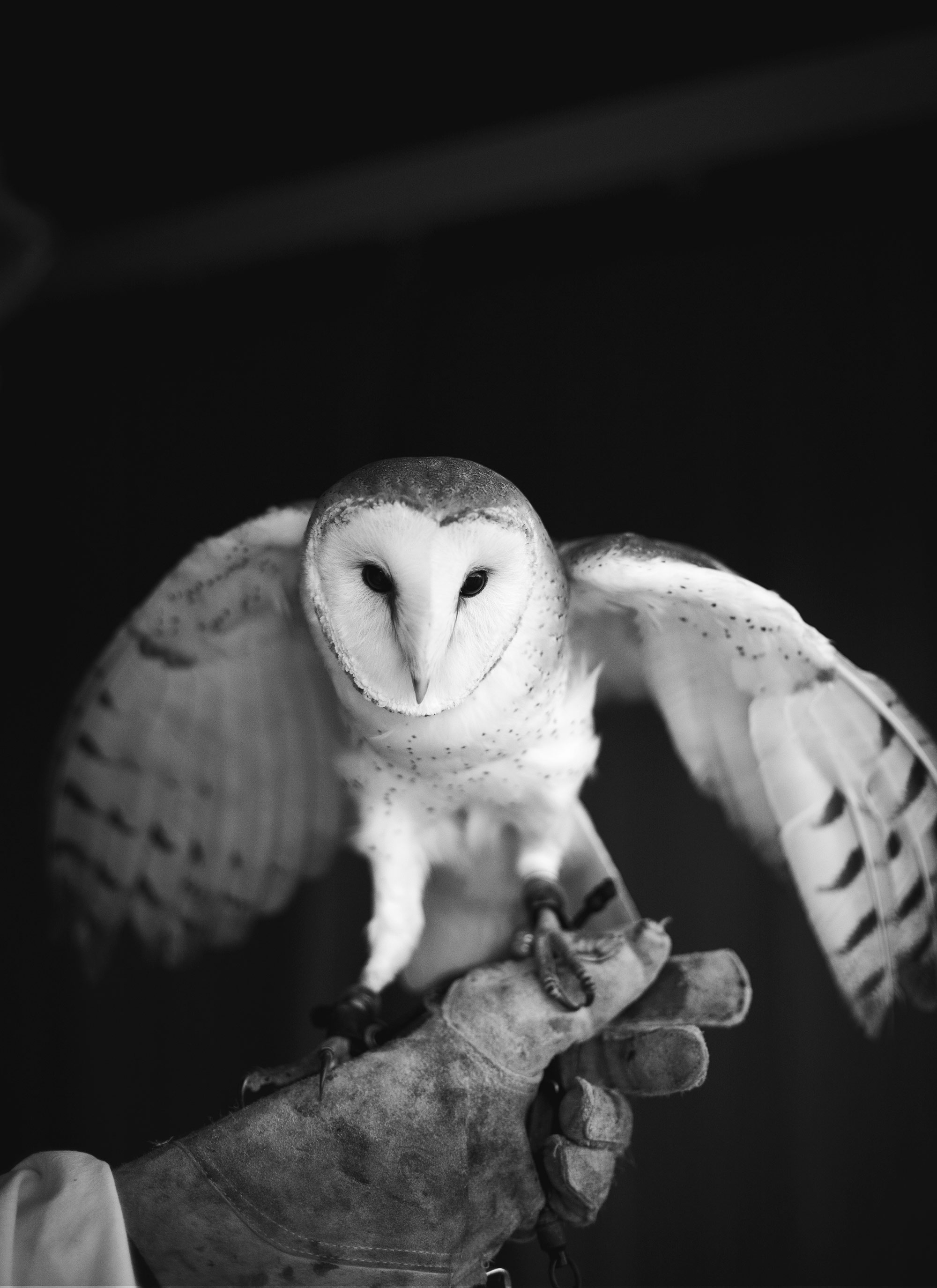 Daniel Meigs | Daniel Meigs Photography