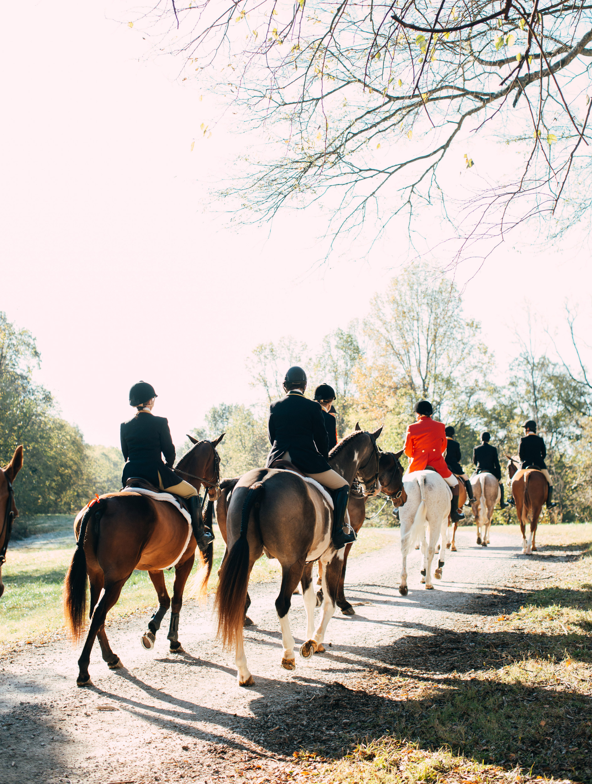 Daniel Meigs | Daniel Meigs Photography